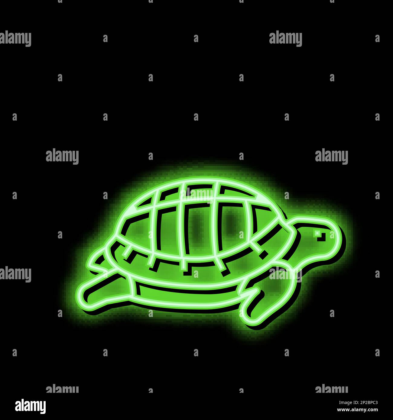 turtle pet neon glow icon illustration Stock Vector Image & Art - Alamy