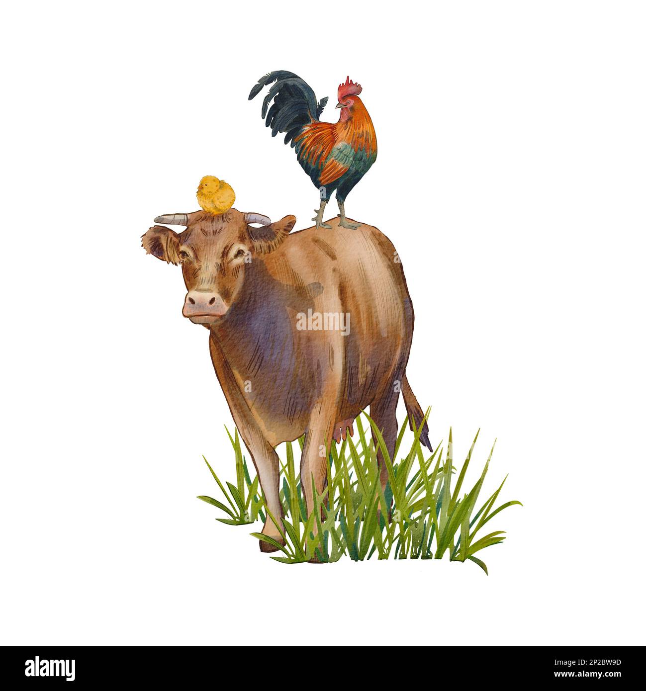 A cow stands on the grass with a chicken and a rooster on its back ...