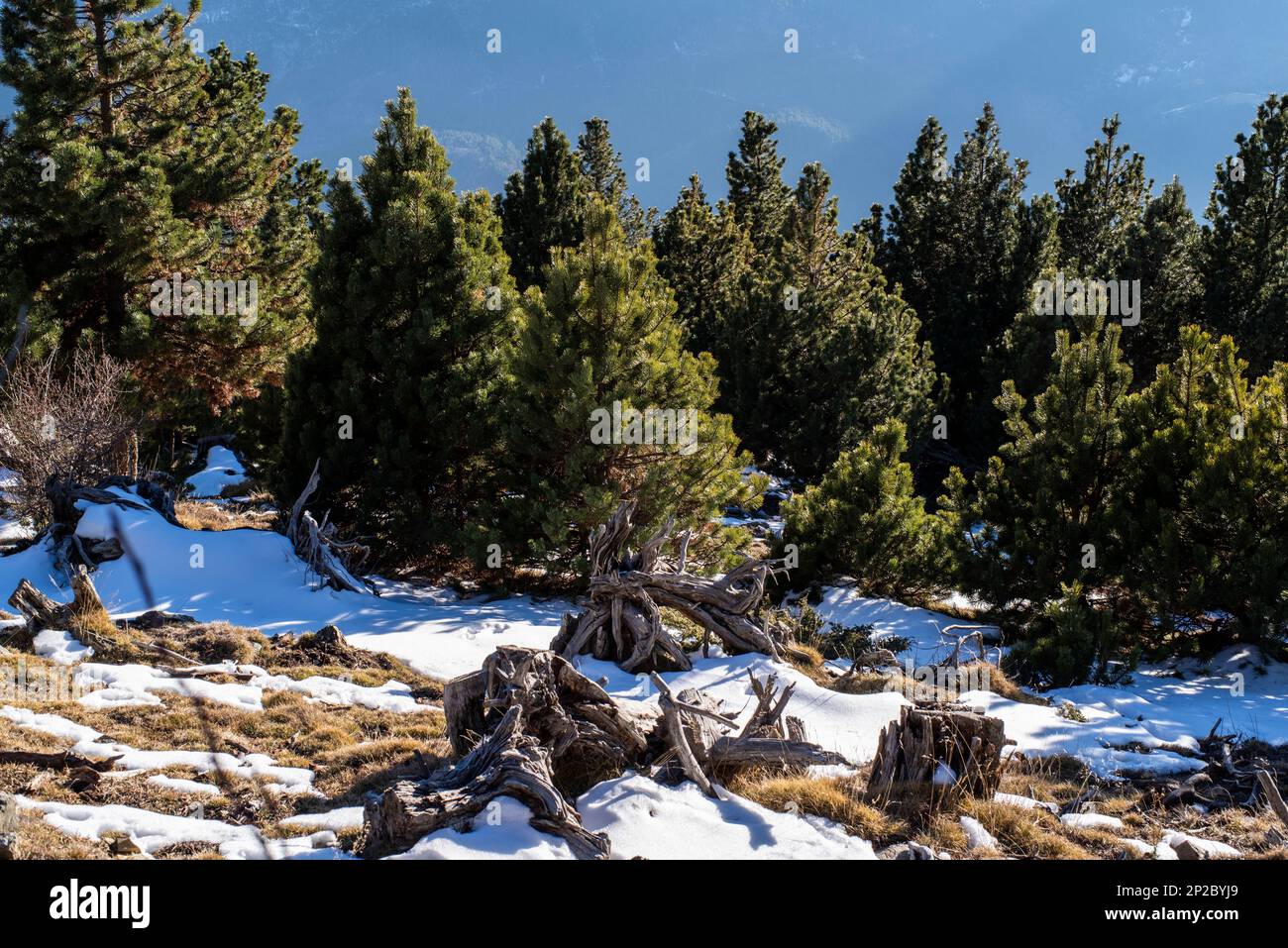 Cabeceras del Ter and Freser Natural Park, Girona,Spain Stock Photo - Alamy
