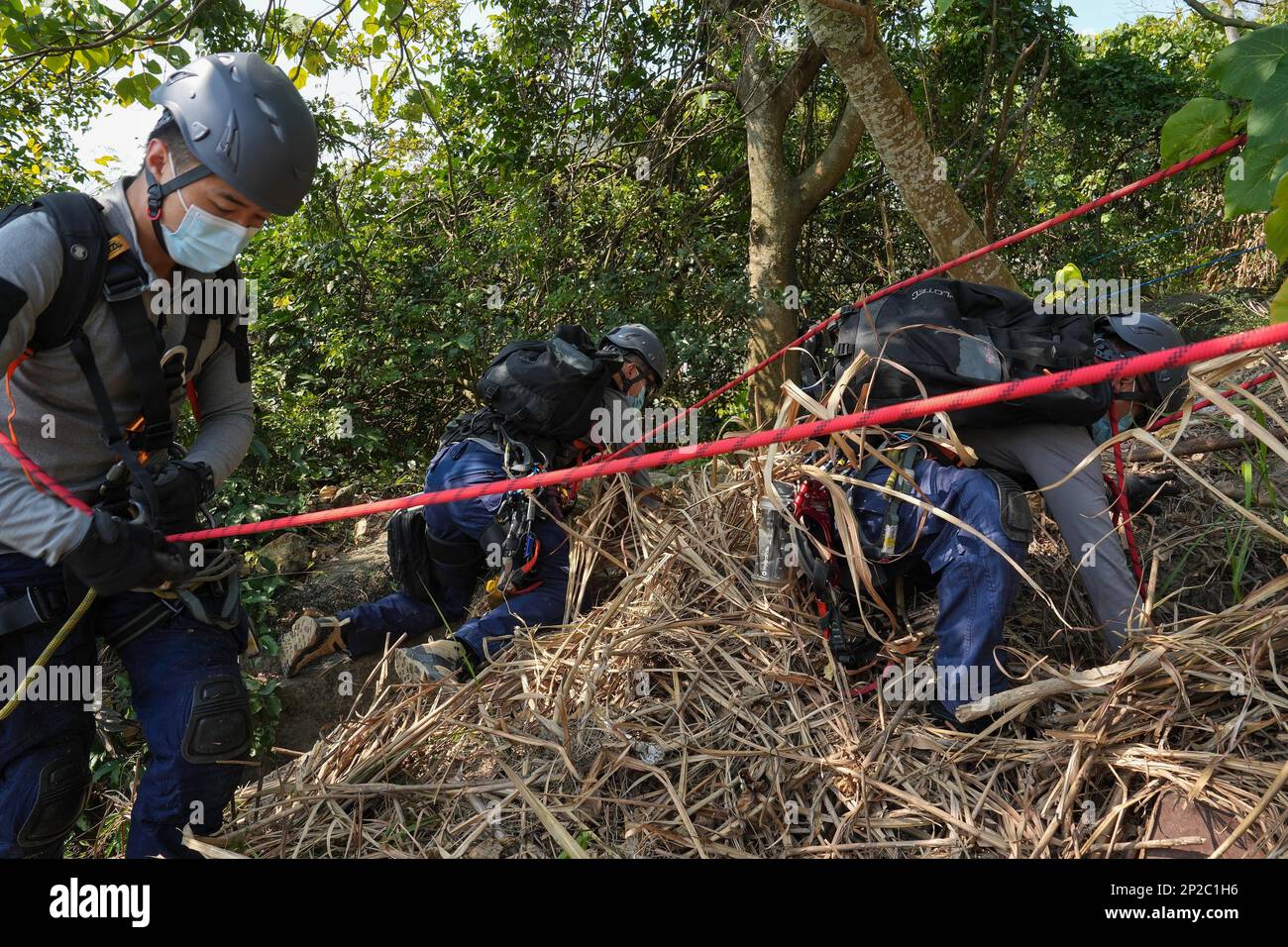 Tai lung fung hi-res stock photography and images - Alamy