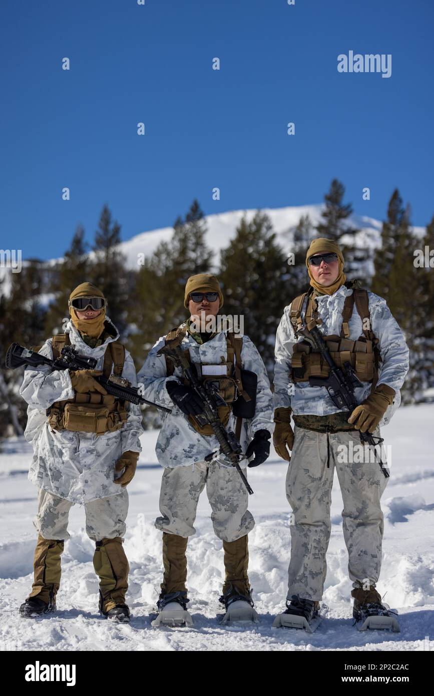 U.S. Marines with 2d Battalion, 8th Marine Regiment, 2d Marine Division ...