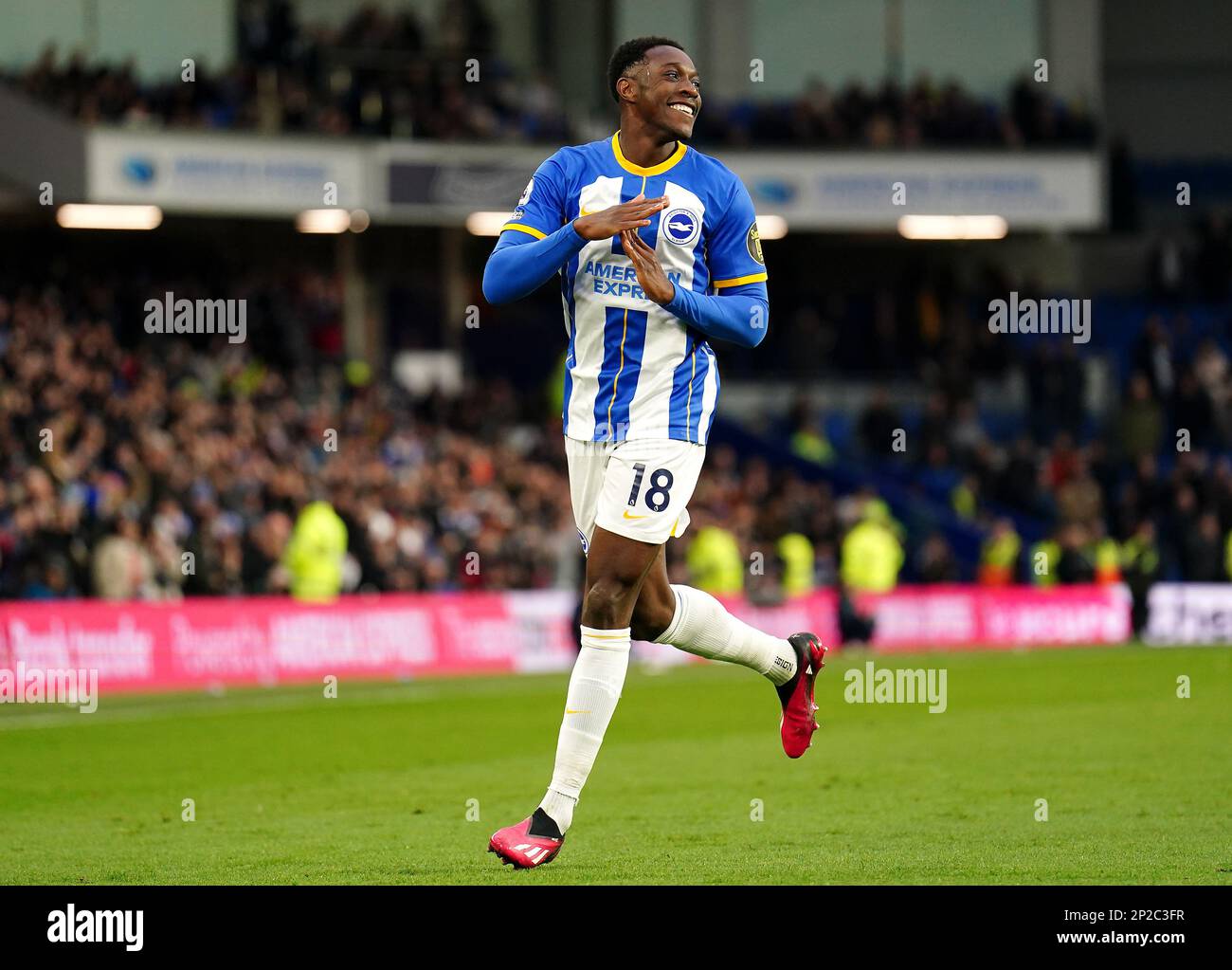 Brighton and Hove Albion's Danny Welbeck celebrates scoring their side ...