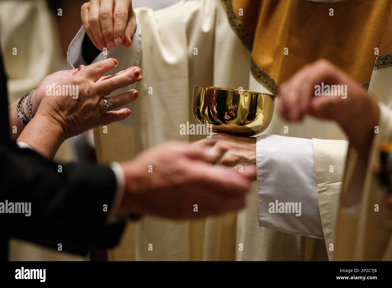 Congregates takes communion as Pope Francis celebrates mass at the ...