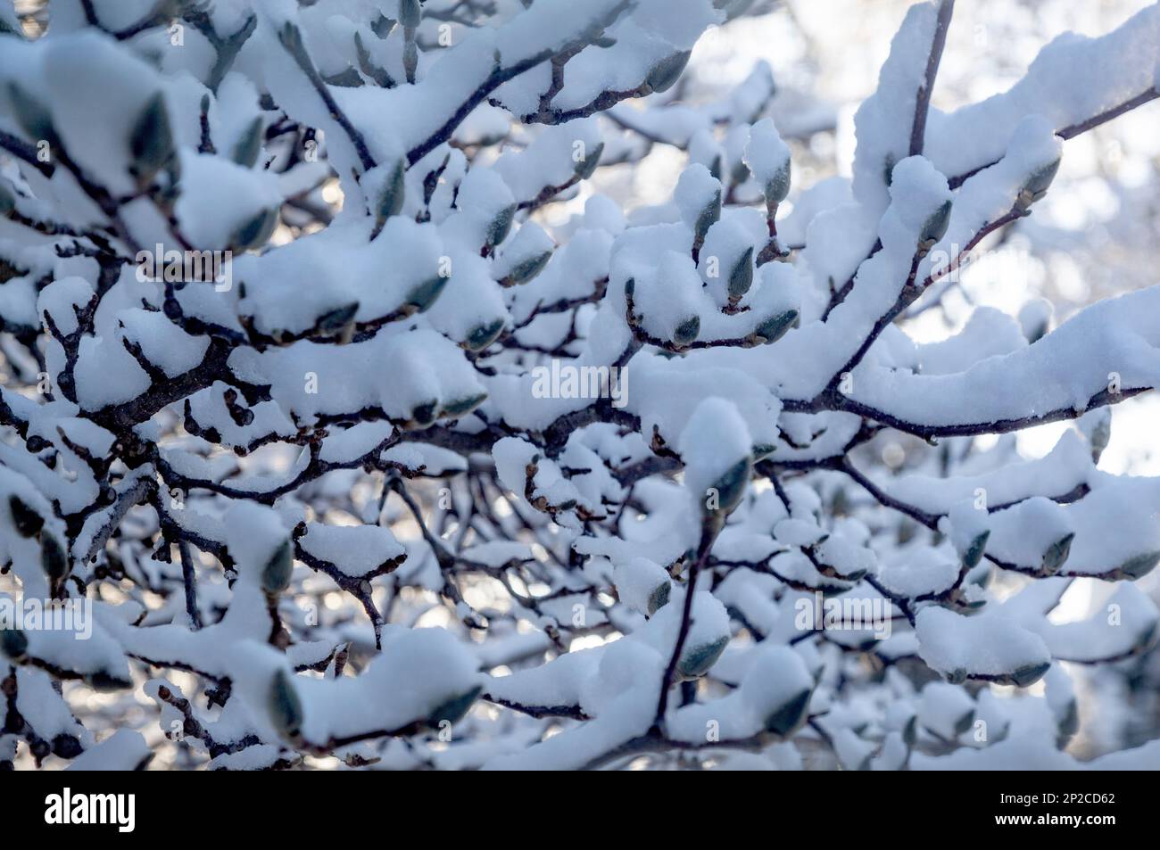 Record michigan snowfall hi-res stock photography and images - Alamy
