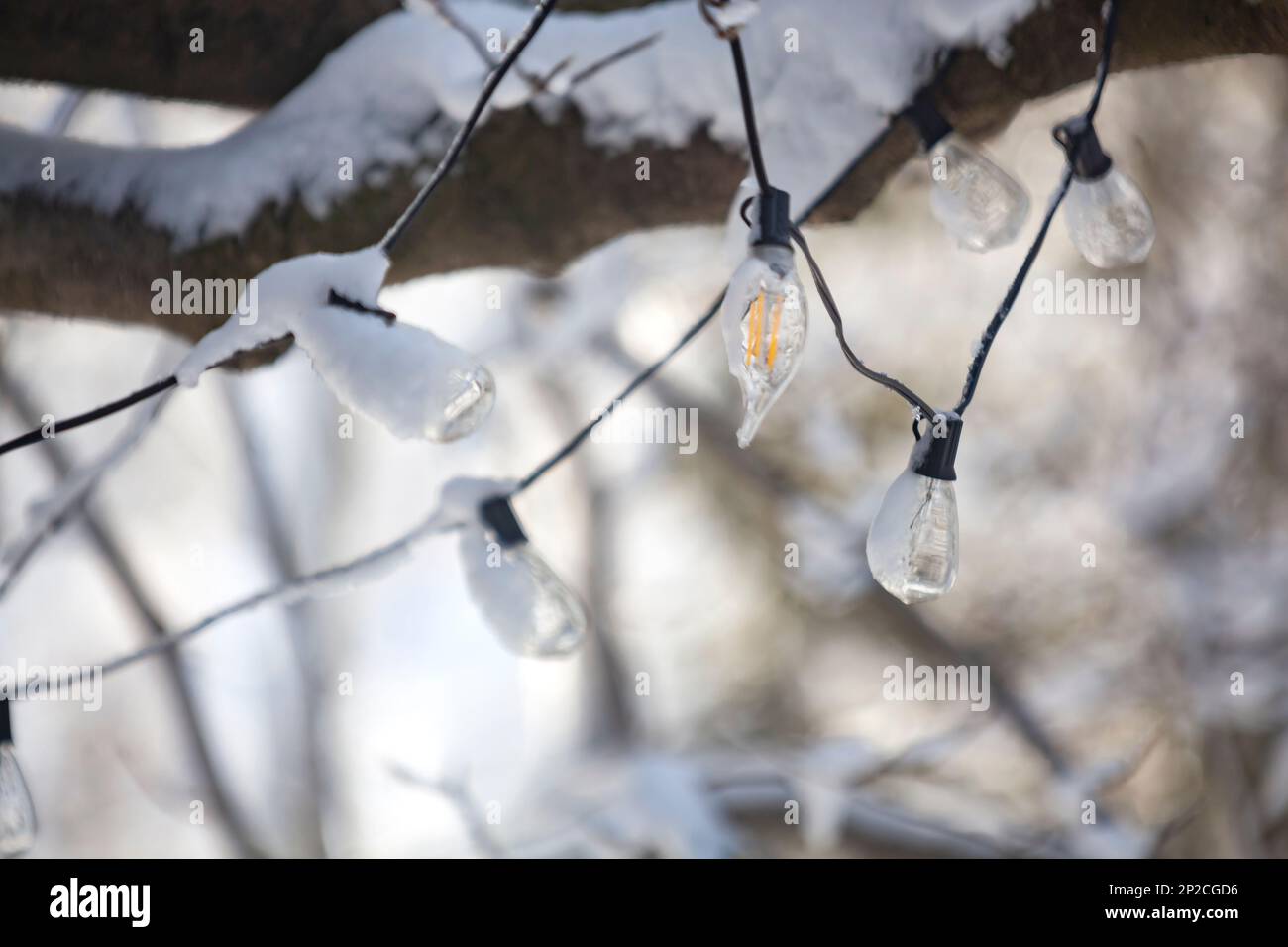 Yard lights draped in heavy snow in Bloomfield Hills,MI after a winter ...