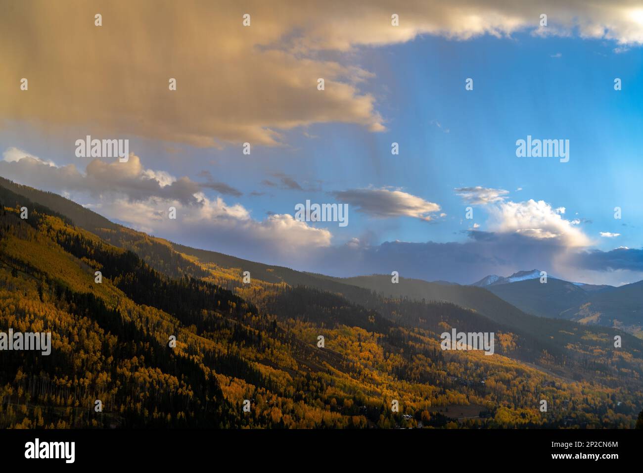 Mountain side view of fall leaves with Mt of the Holy Cross in the ...