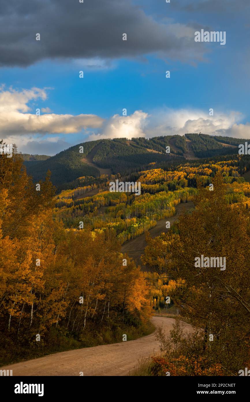Winding dirt road through the mountains and fall colors Stock Photo - Alamy