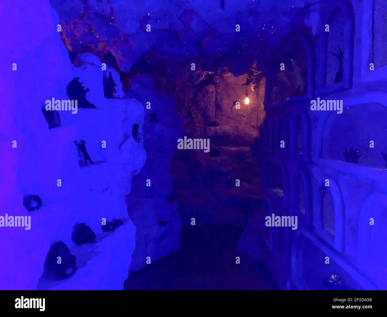 Inside "She Told Me to Head to The Sea", the immersive exhibition by ...