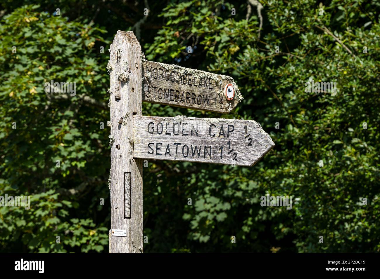Old lichen covered wooden footpath signpost to Golden Cap ...