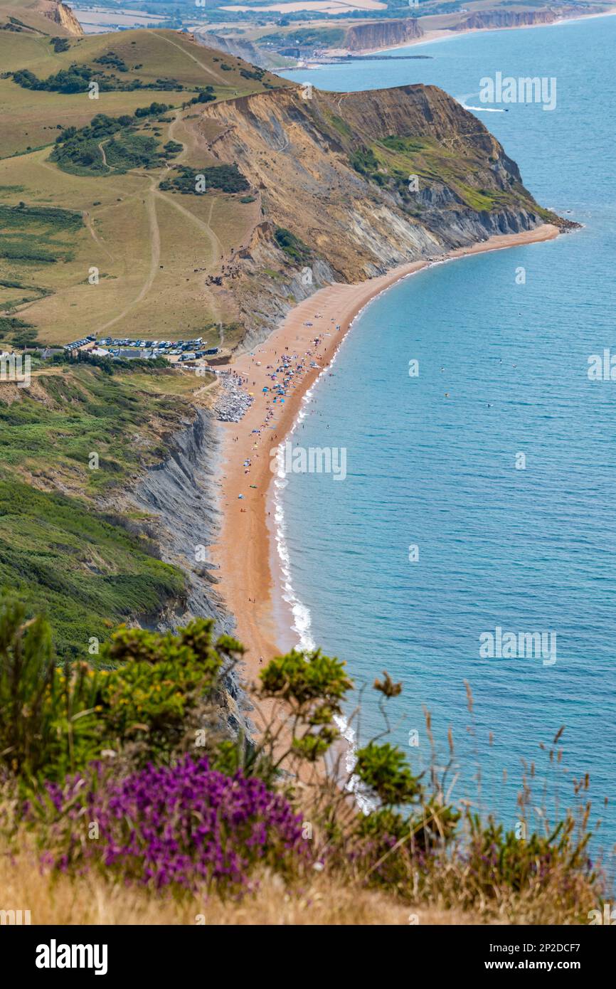 View of Seatown beach from above at Golden Cap on Jurassic coast ...