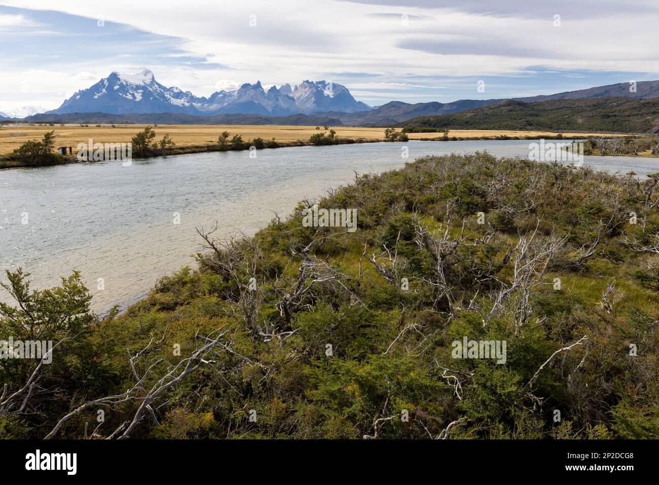 Patagonian forest, golden Pampas, River Serrano and snowy mountains of ...