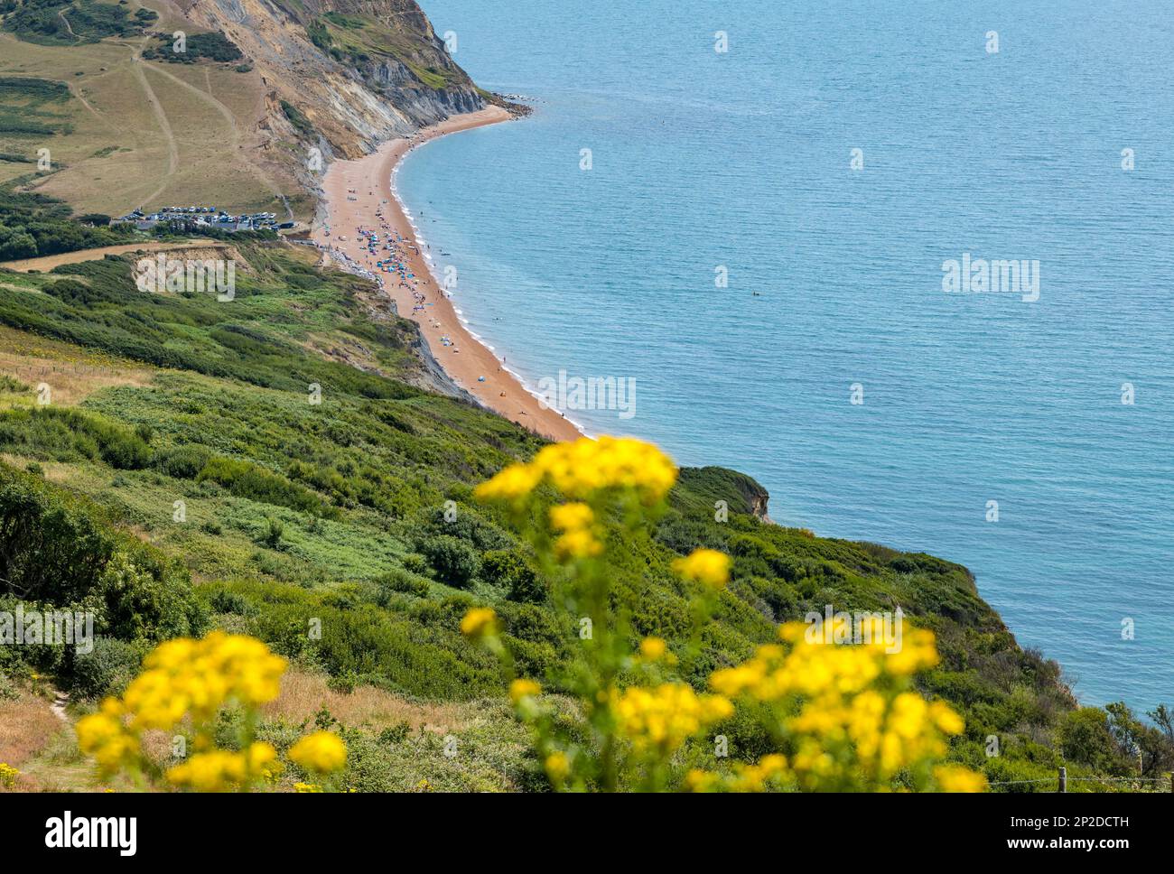 View of Seatown beach from above at Golden Cap on Jurassic coast ...