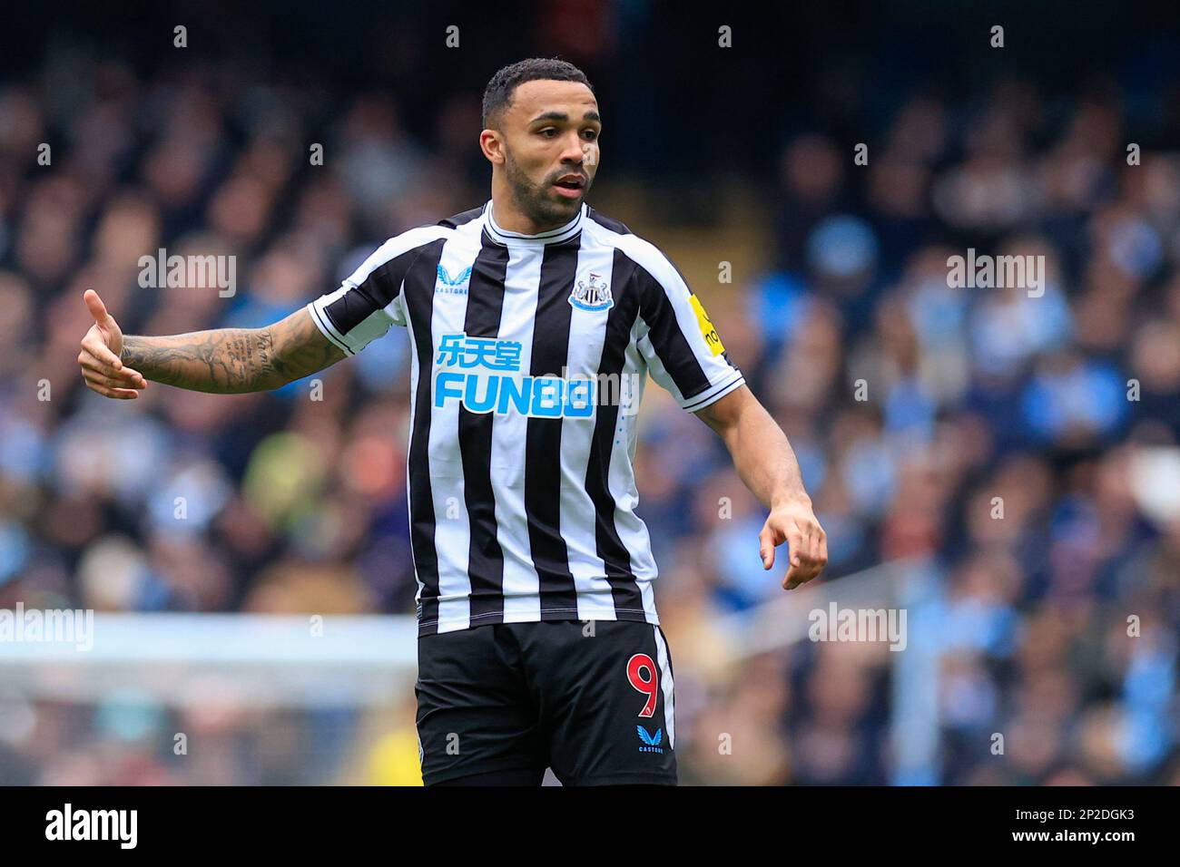 Callum Wilson #9 of Newcastle United during the Premier League match ...