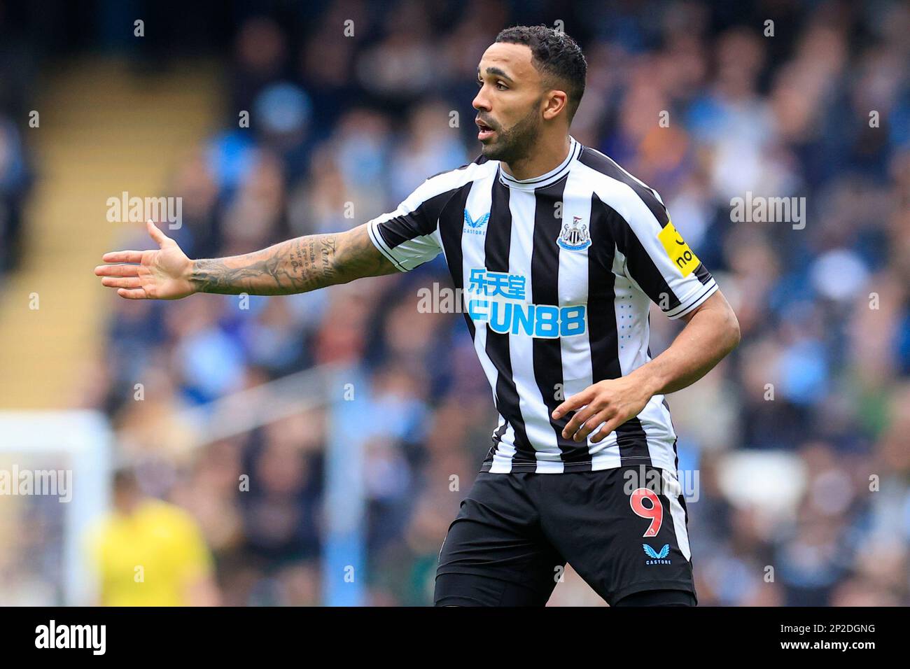 Callum Wilson #9 of Newcastle United during the Premier League match ...