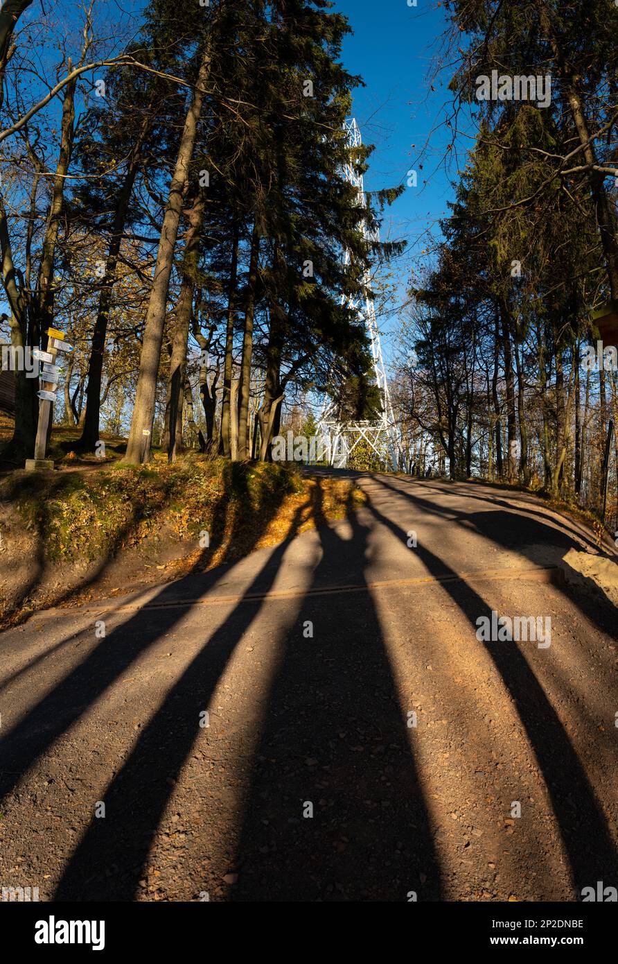 Beautiful shadows of trees created by the sun. Clear sky Stock Photo ...