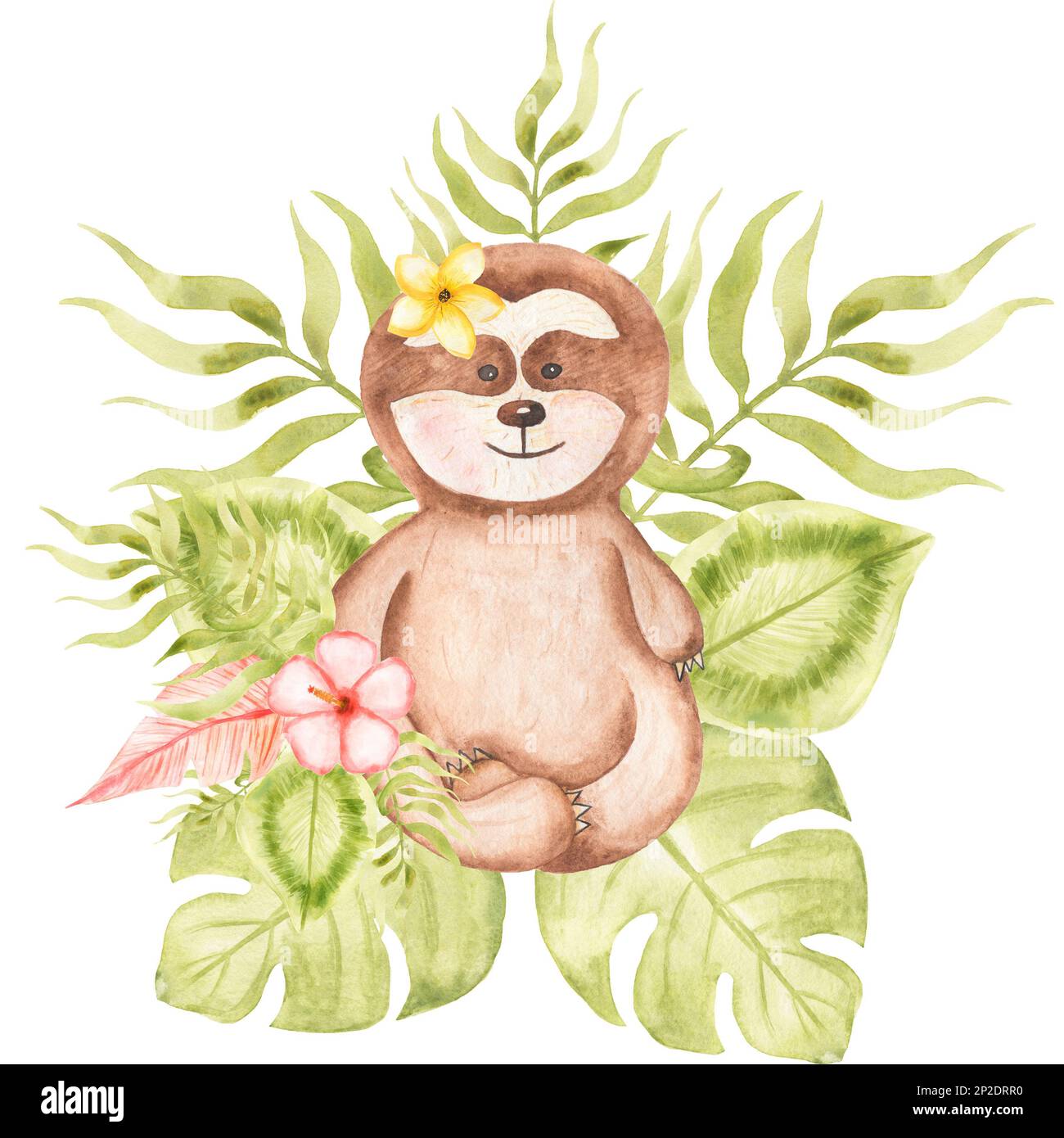 Sloth clipart. Watercolor Baby Sloth clip art, Tropical animal, Leaves ...