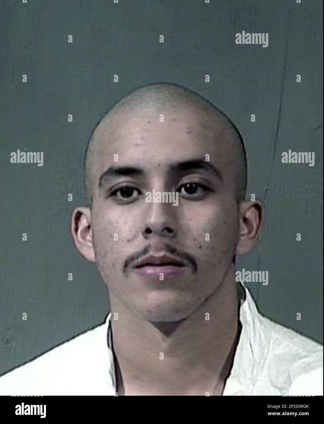 FILE - This 2010 file photo provided by the Maricopa County, Ariz ...