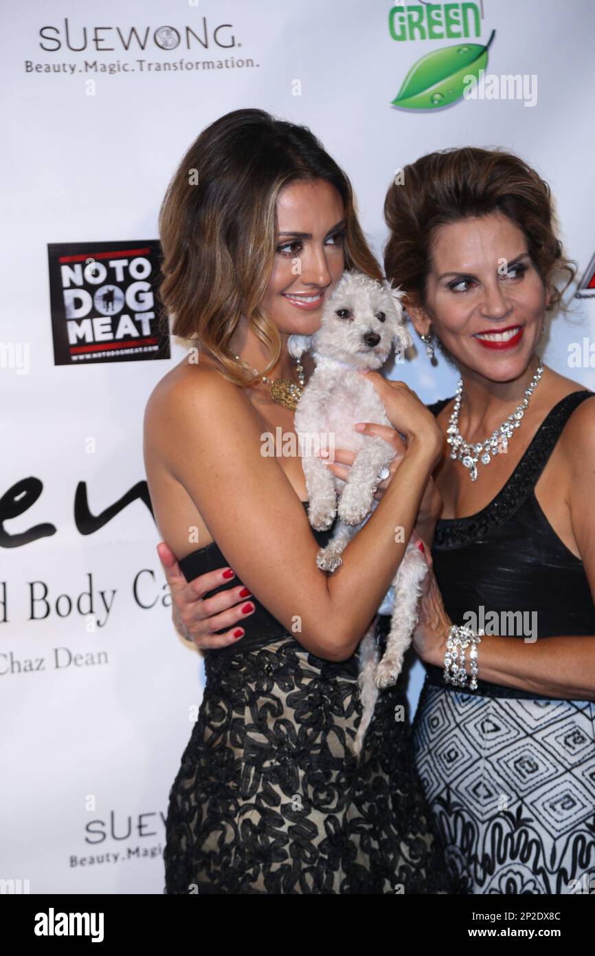 Photo by: JMA/STAR MAX/IPx9/13/15Katie Cleary at "Putting for Pups ...