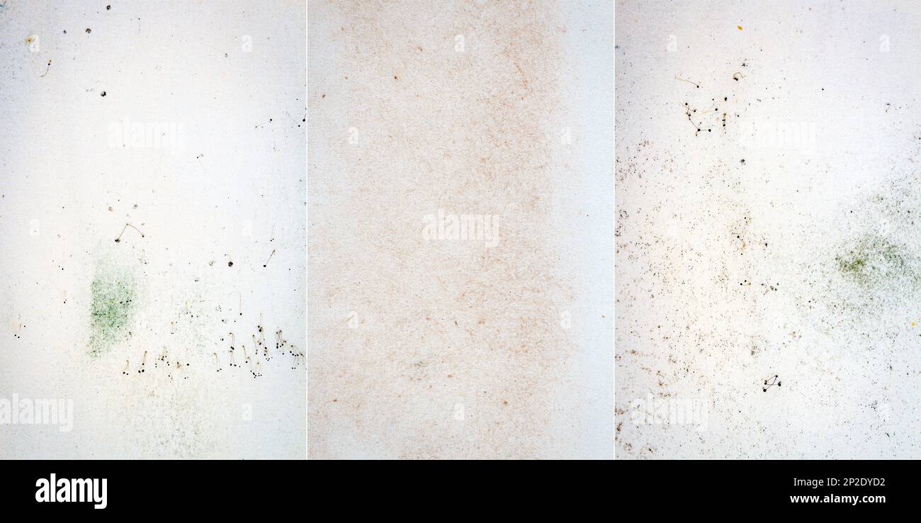 Collection of images with old moldy paper with dirty stains and spots ...