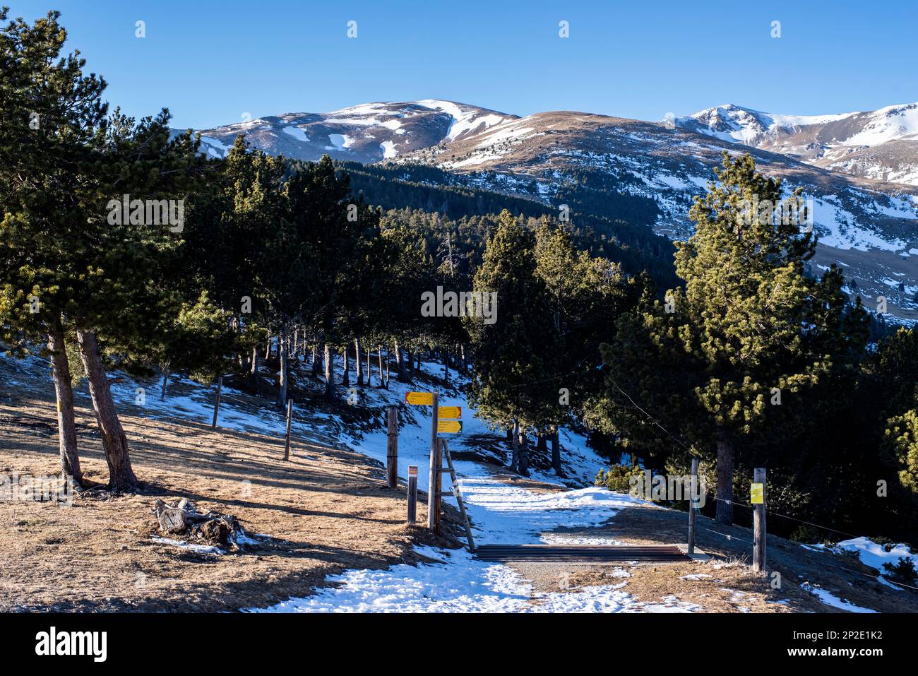 Cabeceras del Ter and Freser Natural Park, Girona,Spain Stock Photo - Alamy