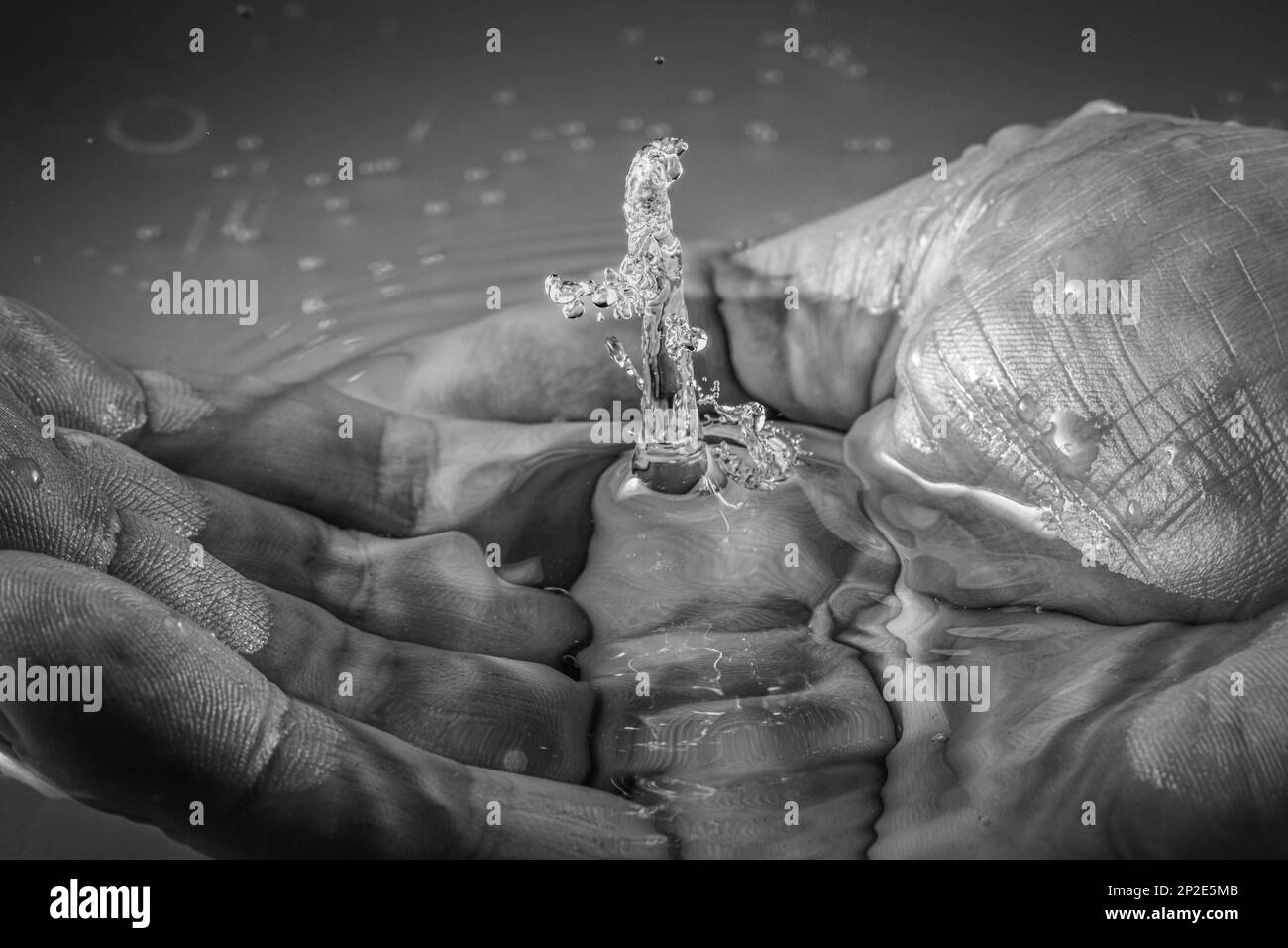 Macro photography water drops photographed with Pluto trigger Stock ...