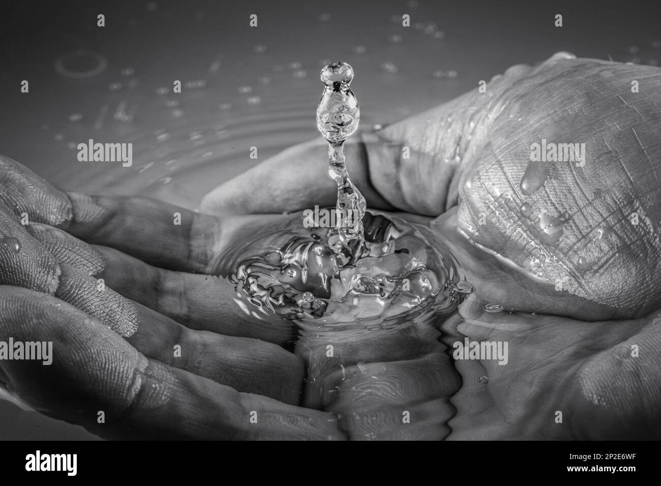 Macro photography water drops photographed with Pluto trigger Stock ...