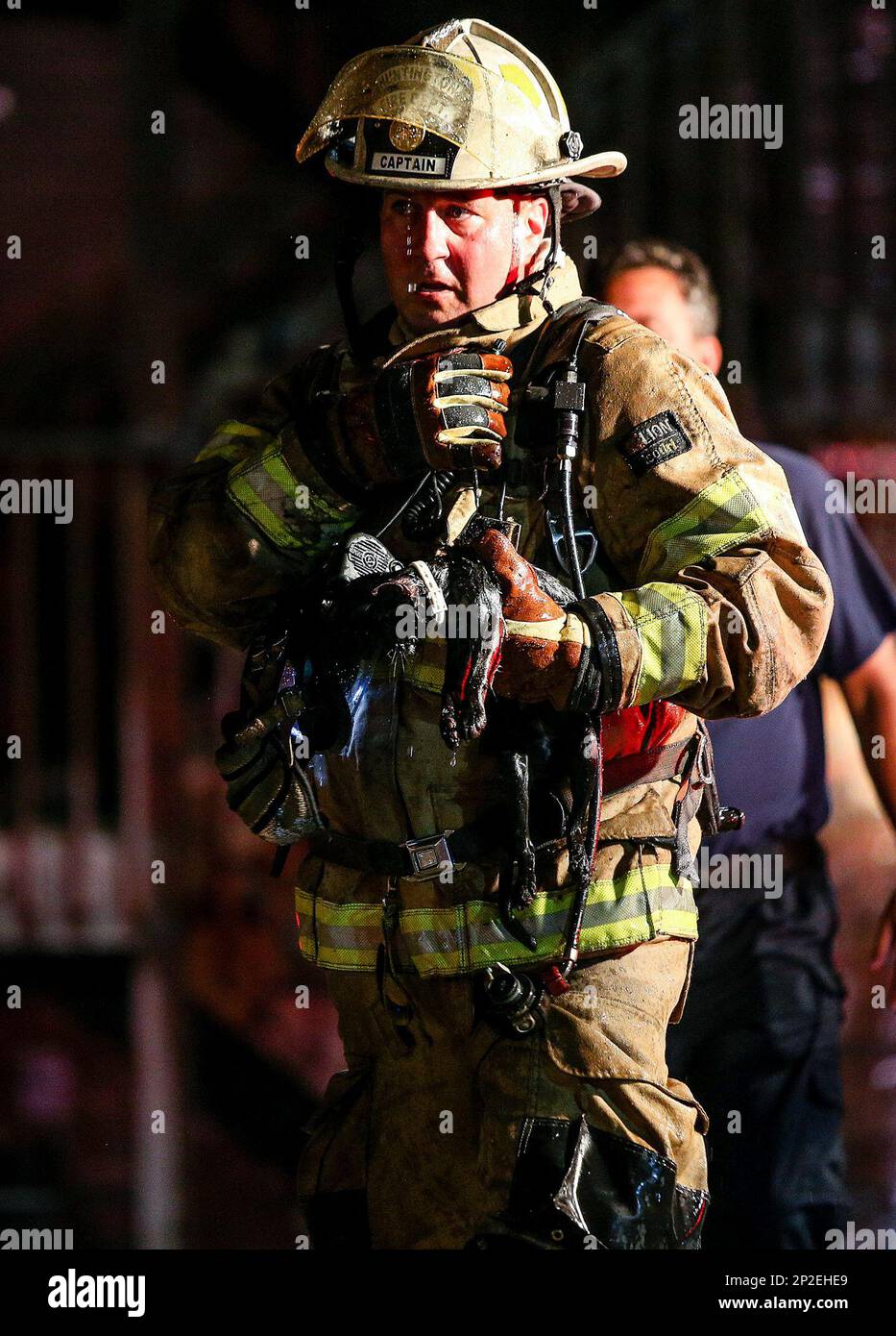 Huntington Firefighter Chris Wilson carries out a kitten rescued from a ...