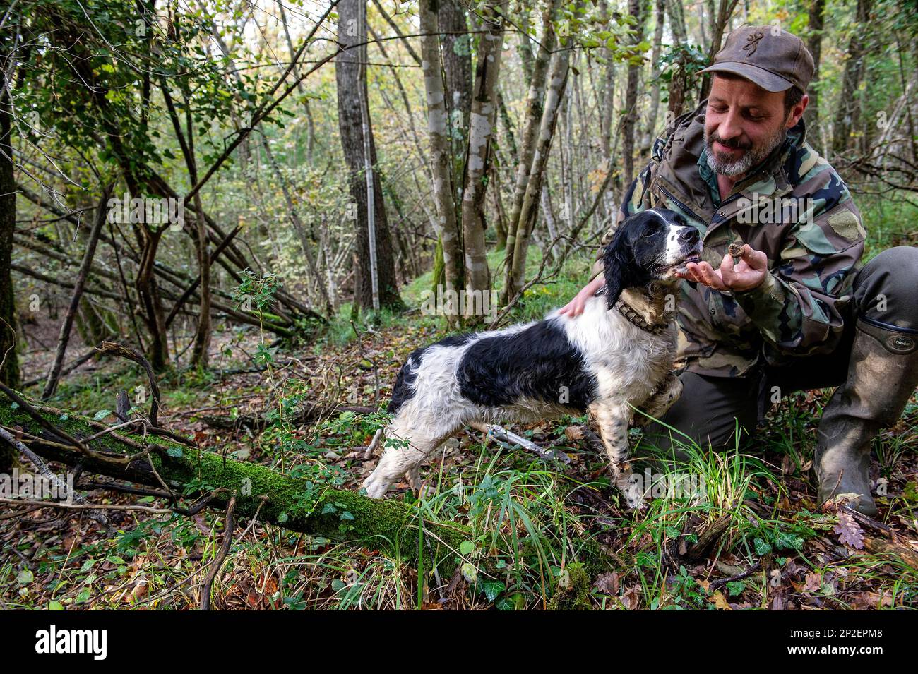 Truffle hunt training hi-res stock photography and images - Alamy