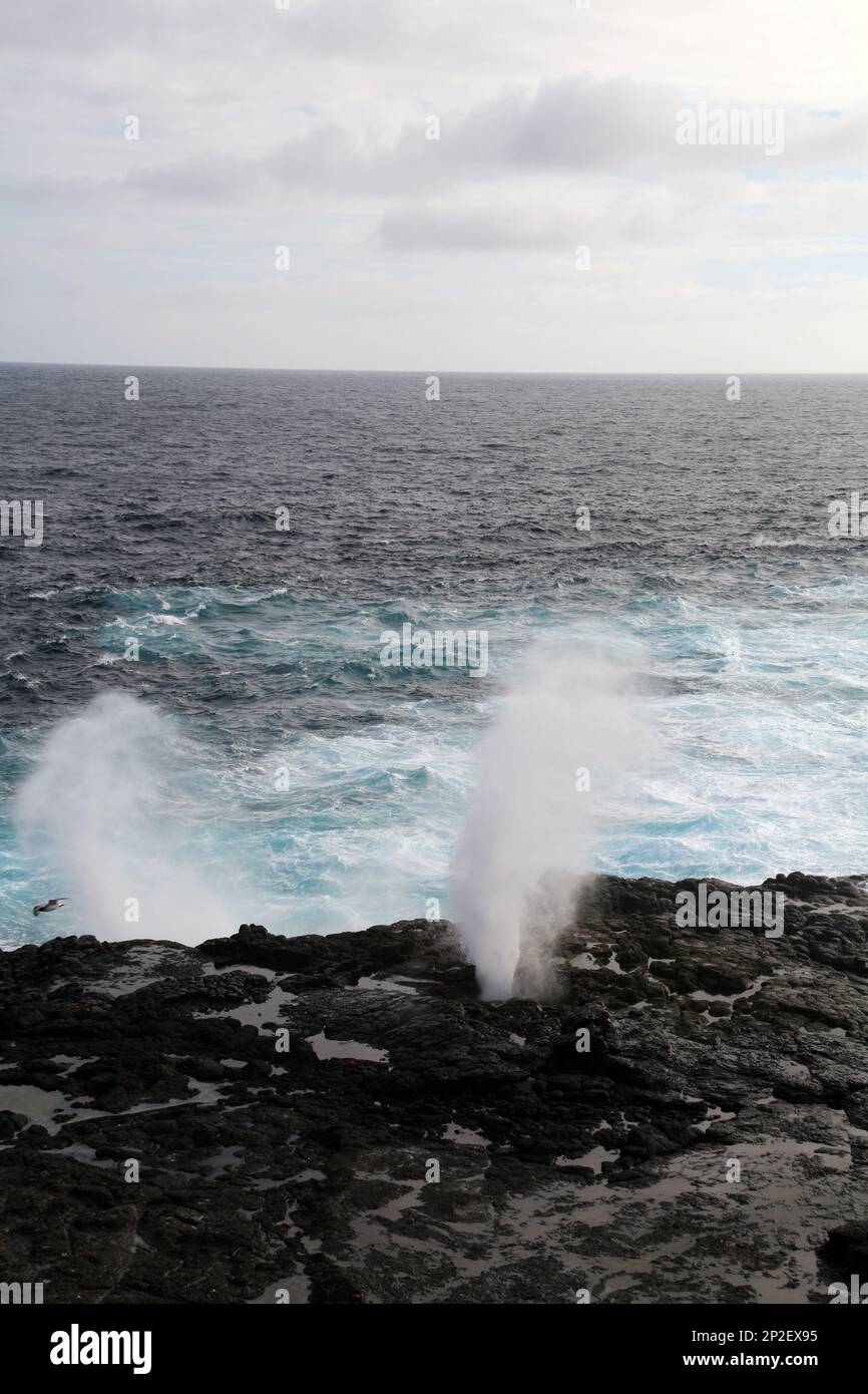 Spouting Blowhole at Punta Suarez on Espanola Island in Galapagos Stock ...