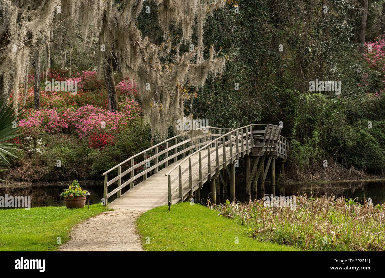 Middleton Plantation and Gardens in Charleston, South Carolina ...