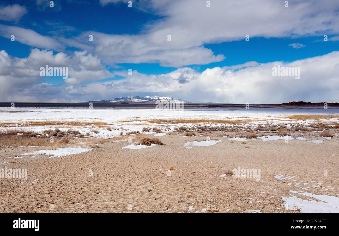 The Not Too Distant Future. 28th Feb, 2023. Set against a majestic ...