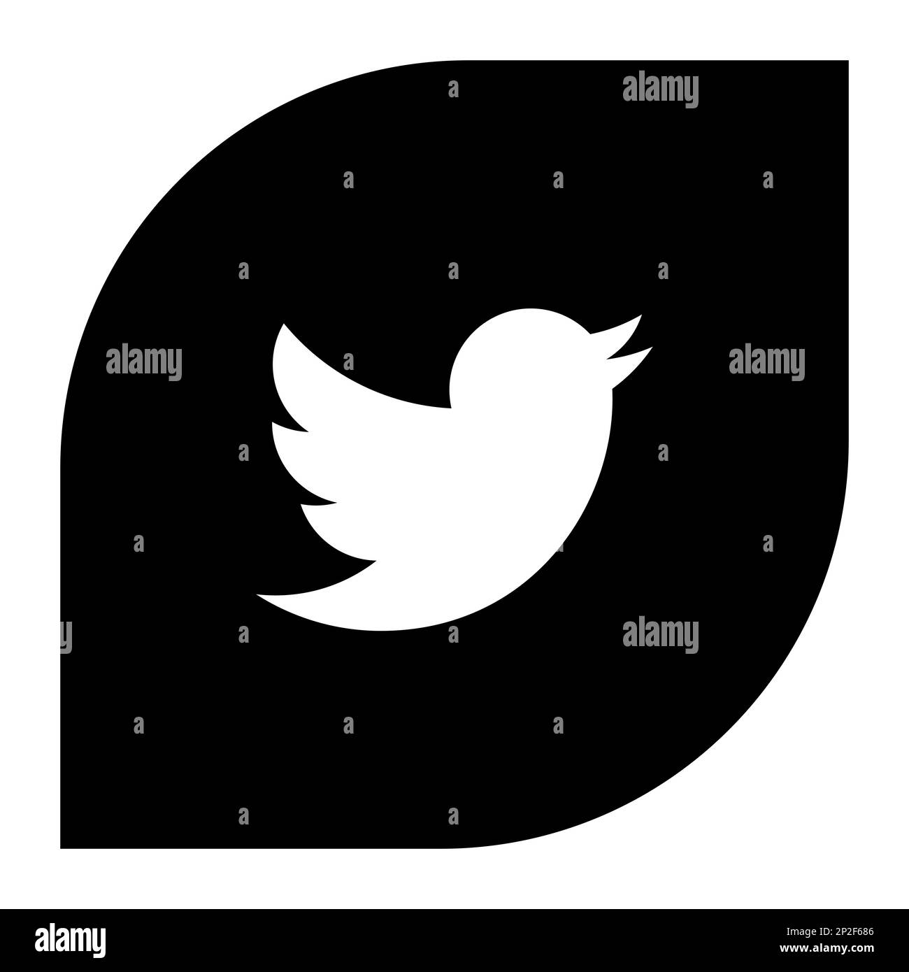 Twitter social media app icon. Square shape vector illustration Stock ...