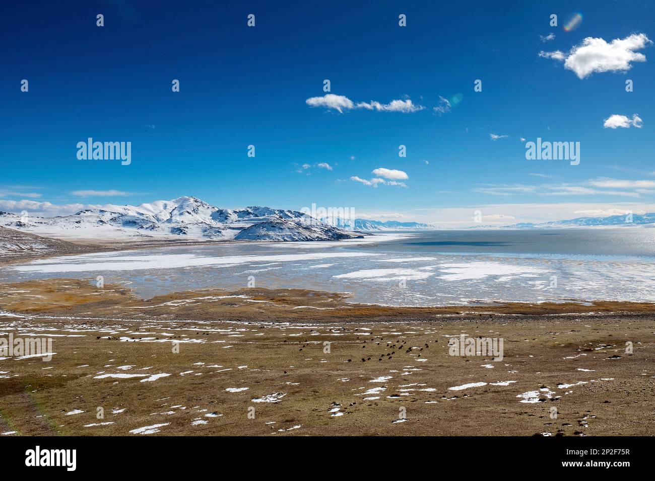 February 28, 2023: Set against a majestic Rocky Mountain backdrop, the ...