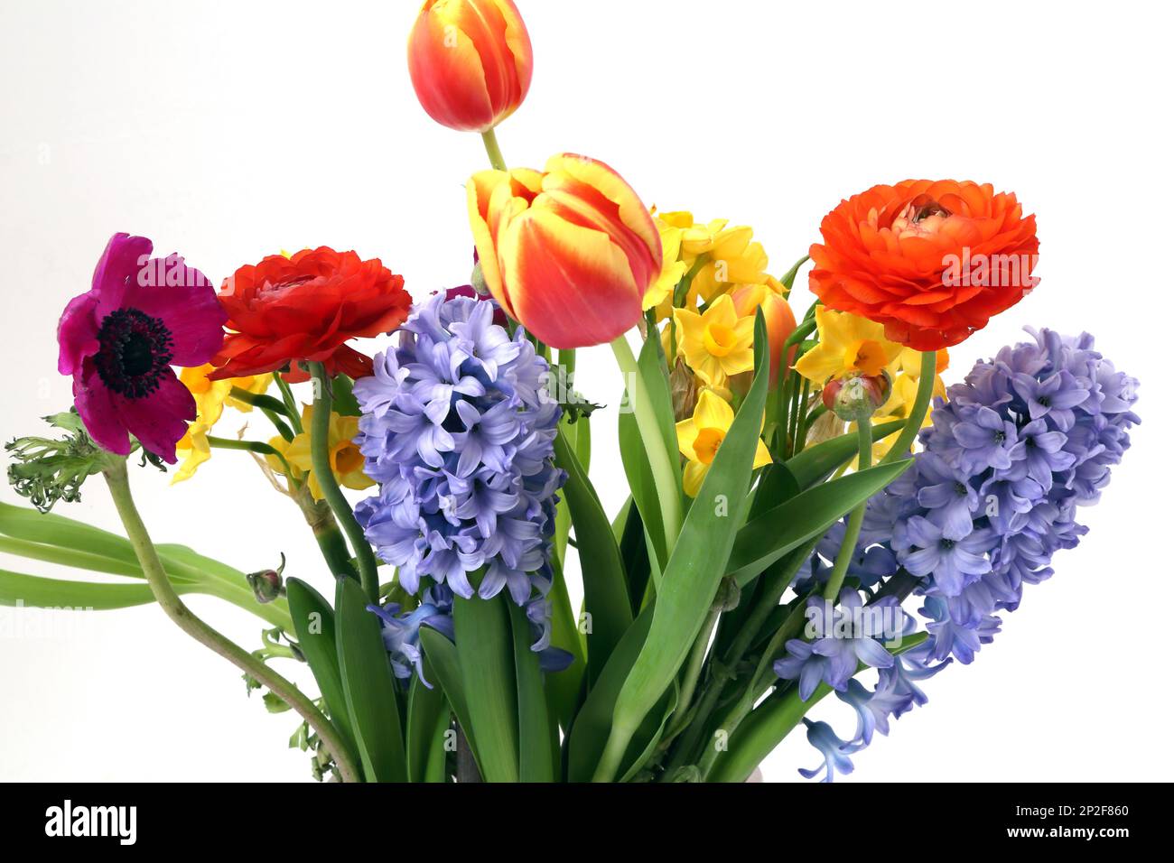 Bouquet of Spring Flowers - Hyacinths, Daffodills, Tulips and Roses ...