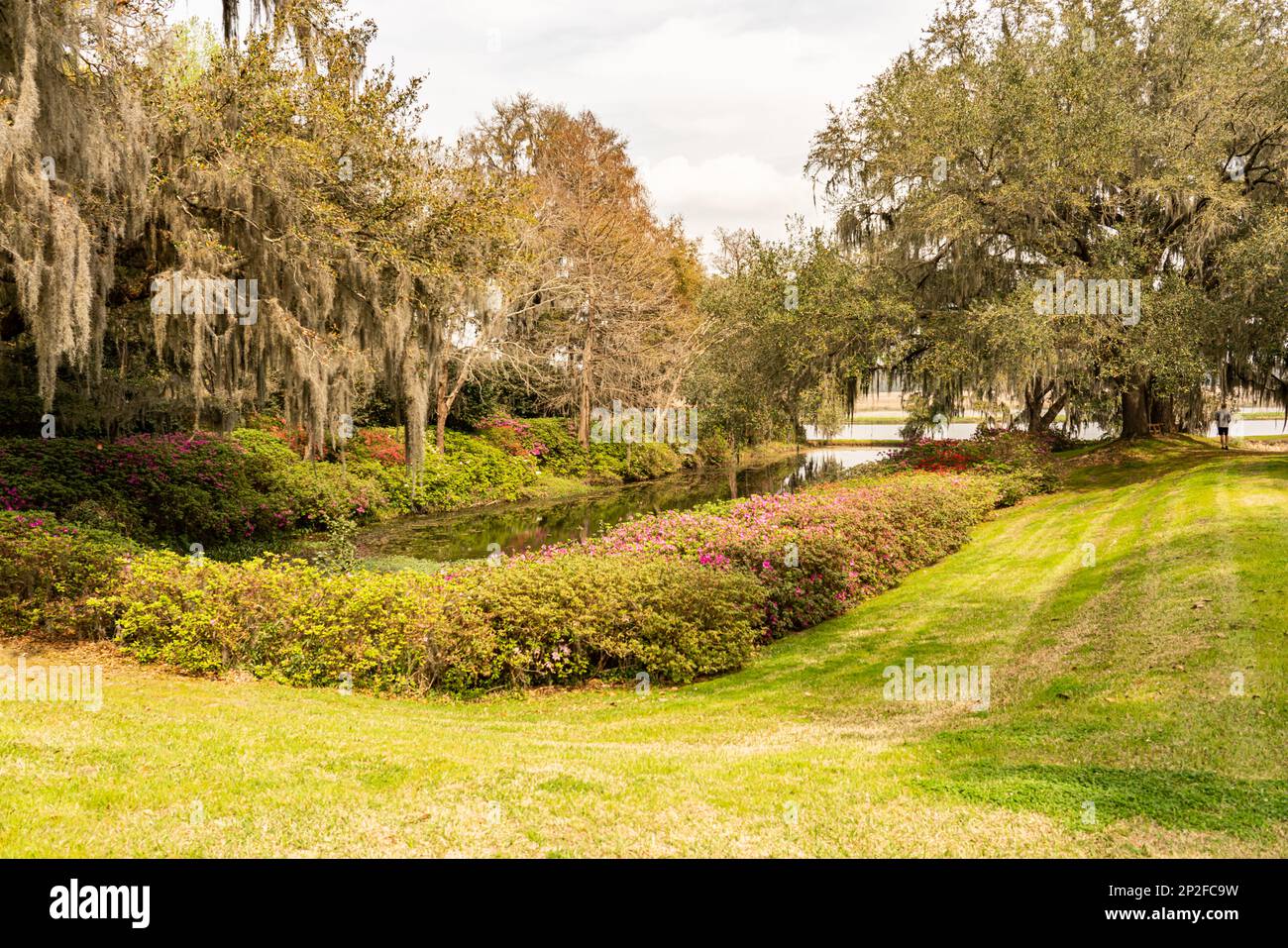 Middleton Plantation and Gardens in Charleston, South Carolina. Historic low country plantation ...