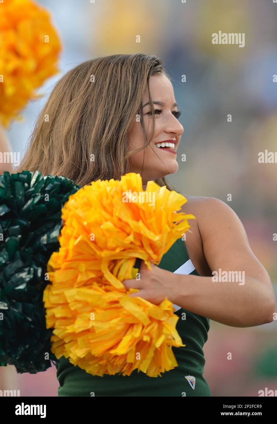 September: 04, 2015: Baylor Bears cheerleader cheering for her team ...