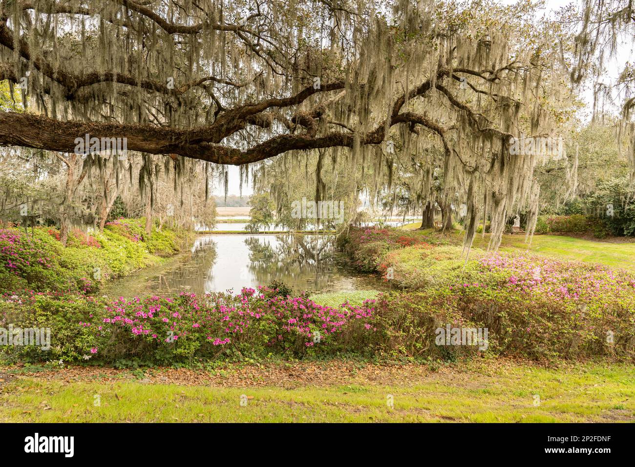 Middleton Plantation and Gardens in Charleston, South Carolina. Historic low country plantation ...
