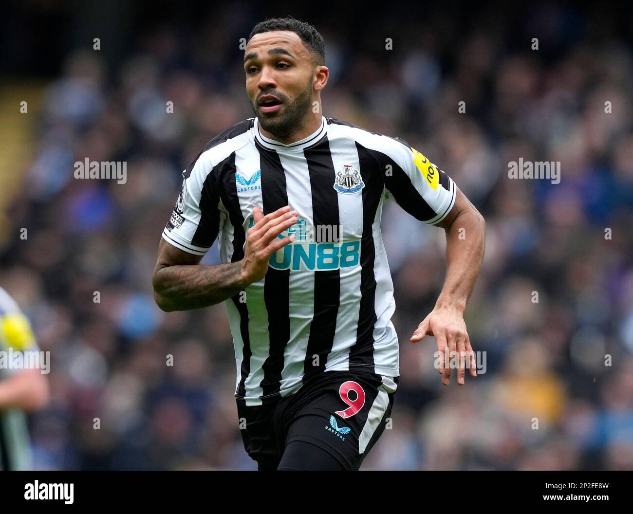Callum wilson 2023 hi-res stock photography and images - Alamy