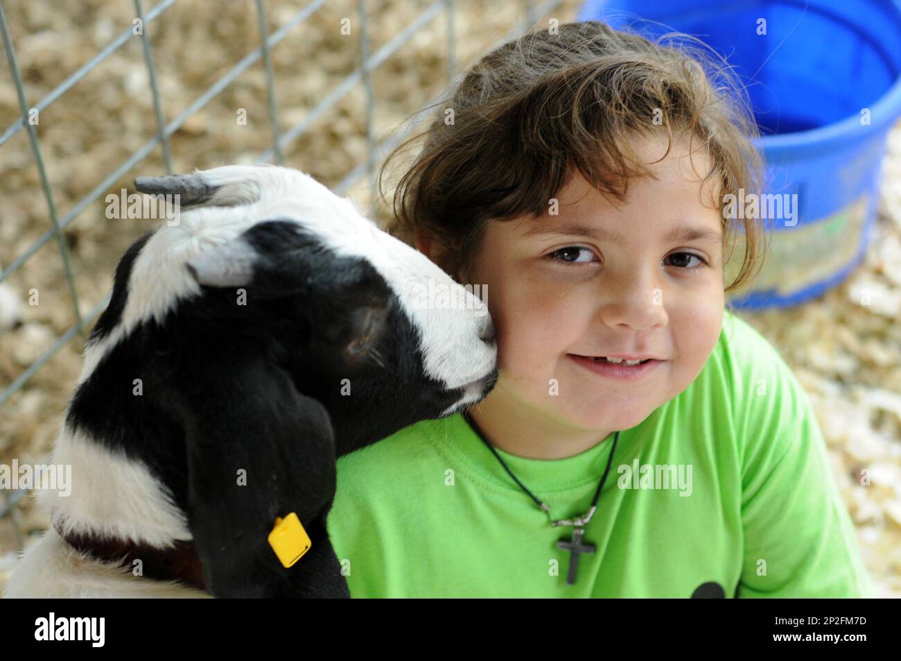 Emma Malone, 7, gets licked on the cheek by her boer goat named "Chloe ...