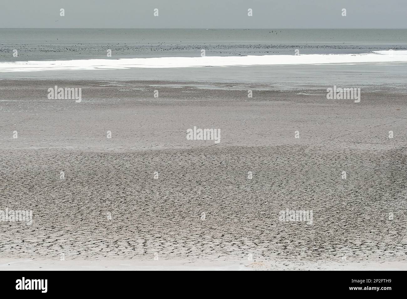 February 28, 2023: The ominus receding shoreline of the Great Salt Lake ...