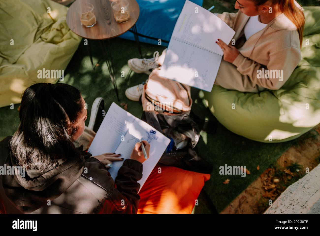A hipster high school girls are about to study together in a coffee bar ...