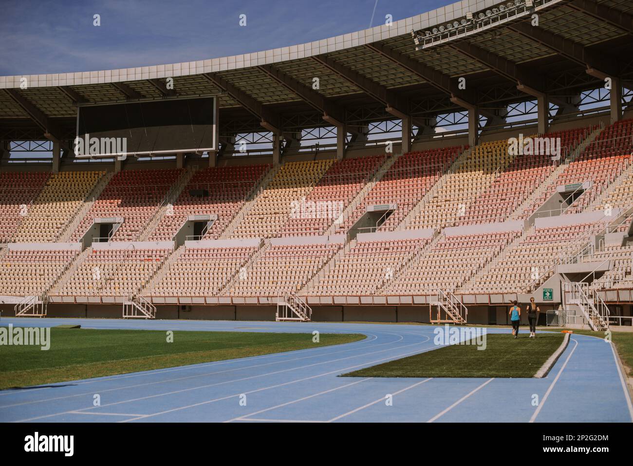 Two professional runners are getting ready for the next marathon. They ...