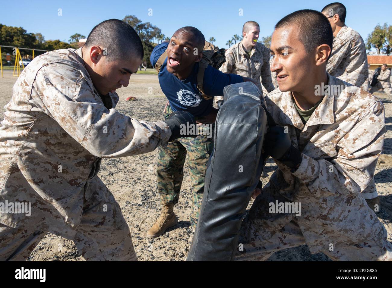U s marine drill instructor motivates hi-res stock photography and ...