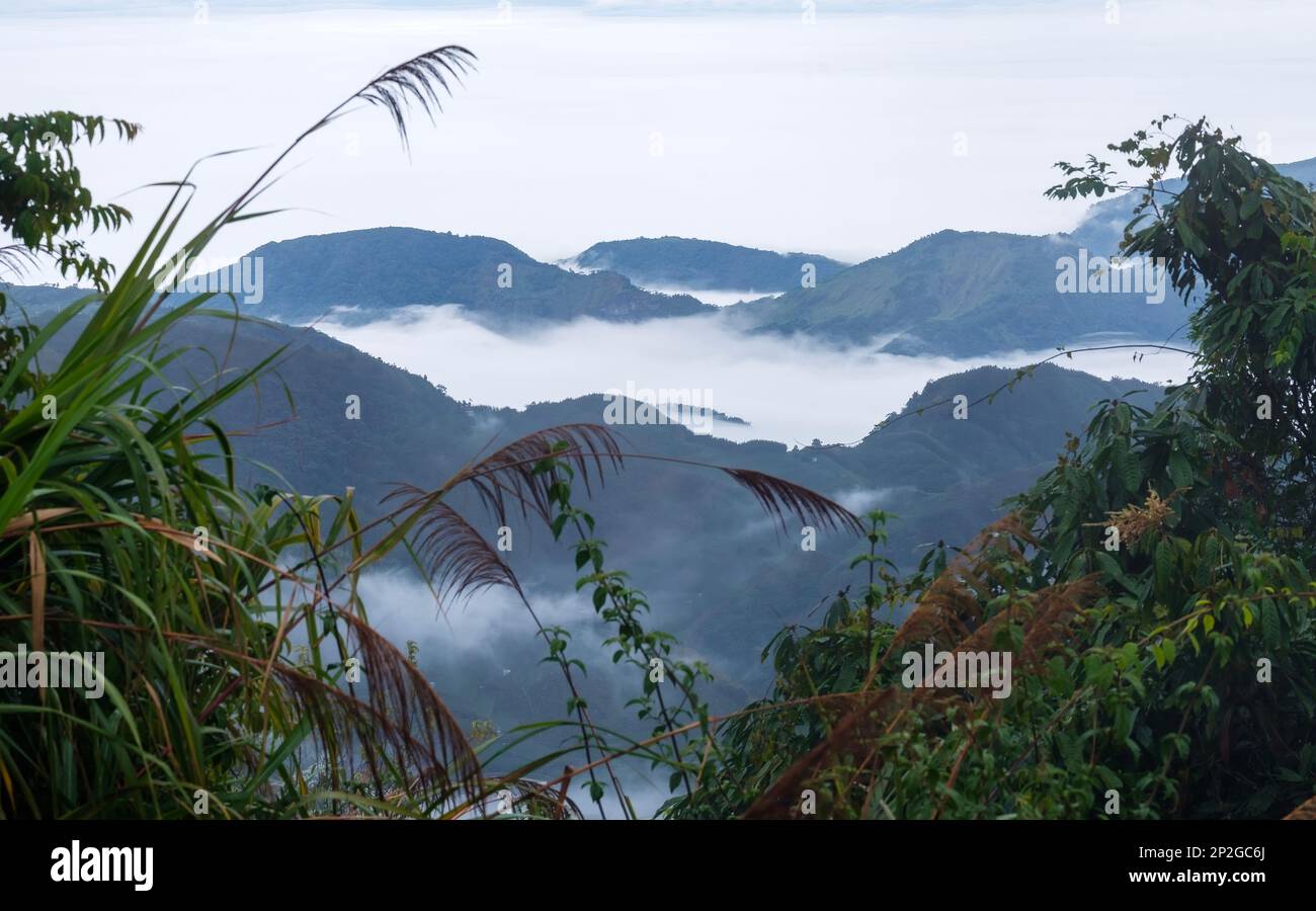 painting-like sea of clouds and misty peaks of Alishan mountains in ...
