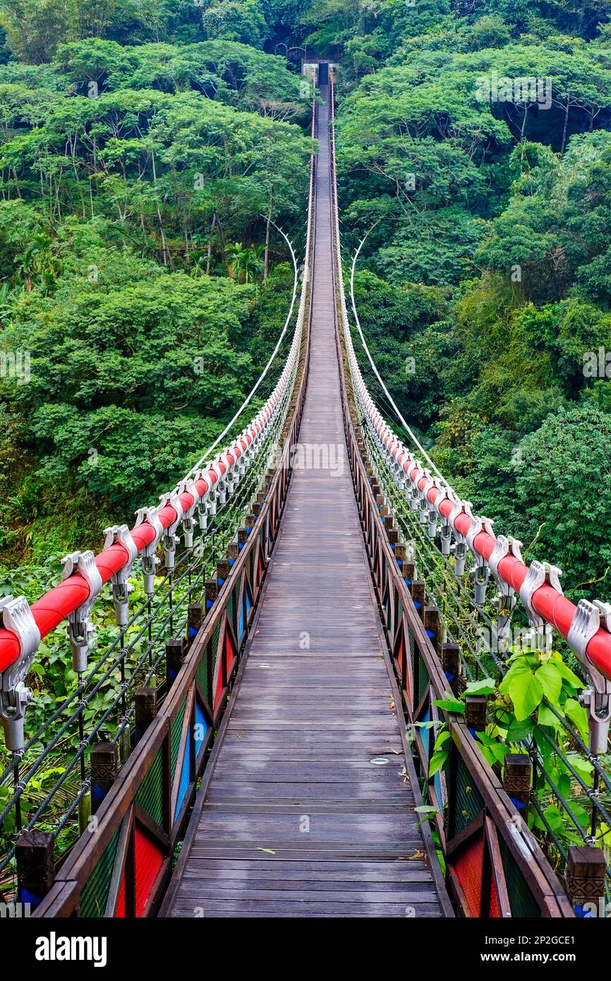 long pedestrian Fumei Suspension Bridge in Alishan Park, Taiwan Stock ...