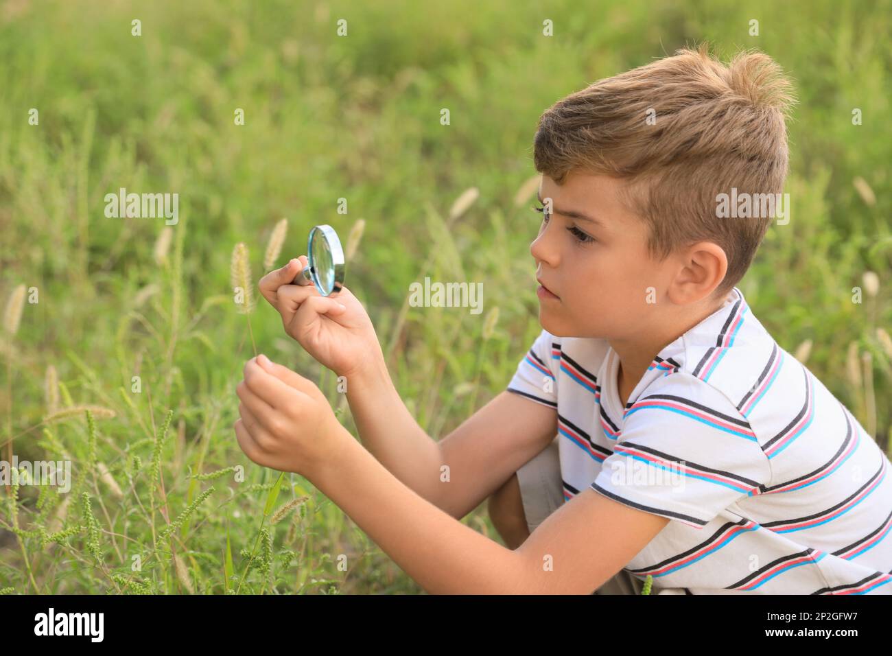 Cute little boy exploring plant outdoors. Child spending time in nature ...