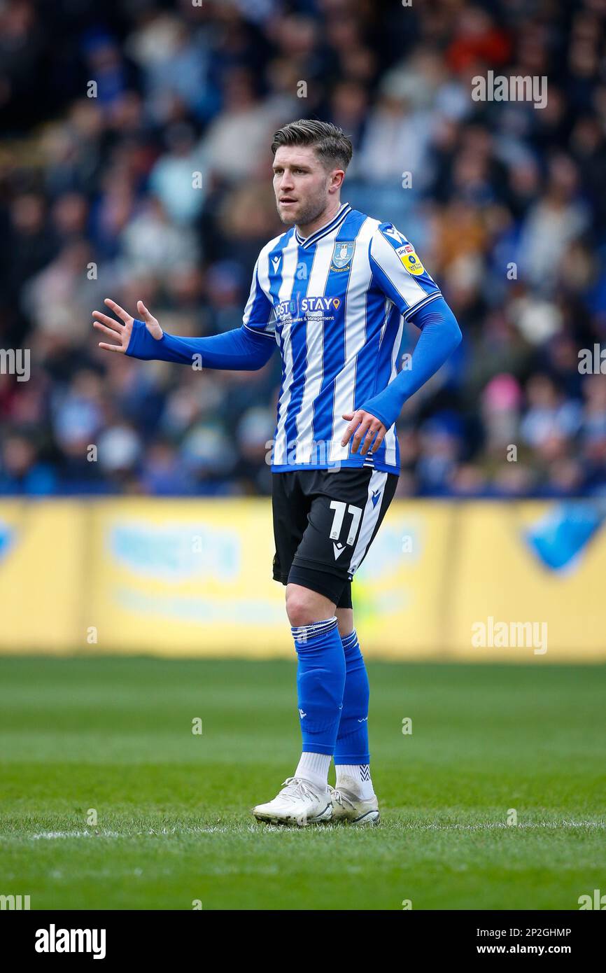 Josh windass sheffield wednesday hi-res stock photography and images ...