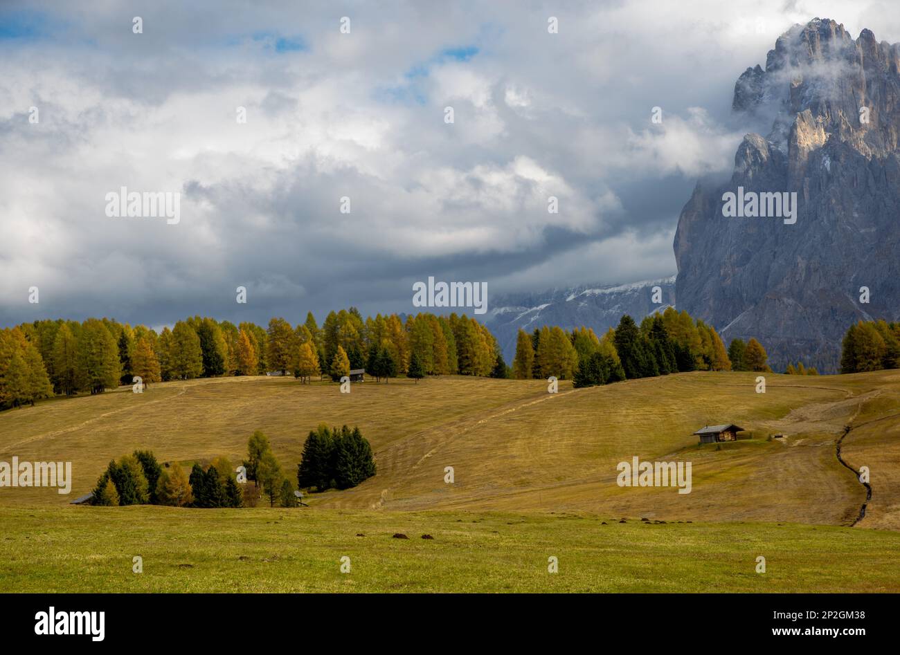 Landscape with beautiful autumn meadow field and Dolomite rocky peaks ...