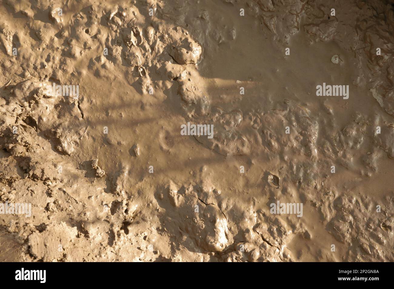 Ground mud as background, view from above Stock Photo - Alamy