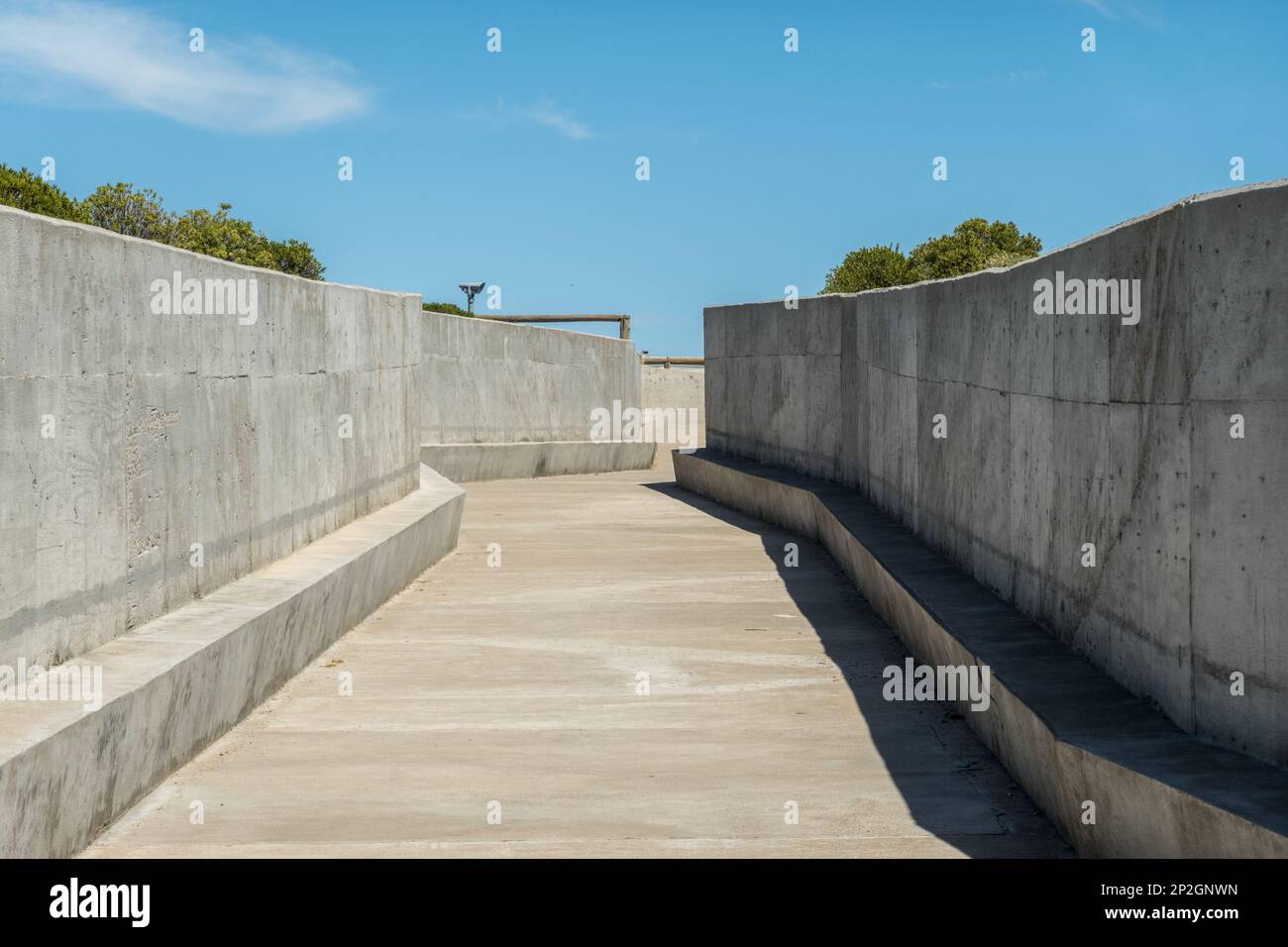 Concrete pathway to overlook point for tourists at Punta Tombo penguin ...
